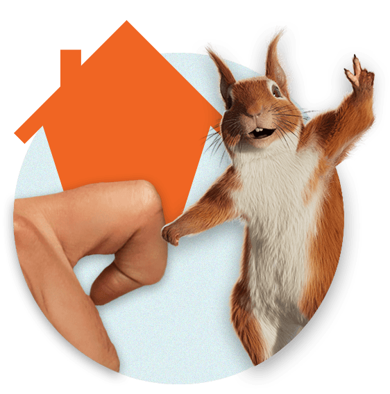 Award winning mortgage brokers | Squirrel