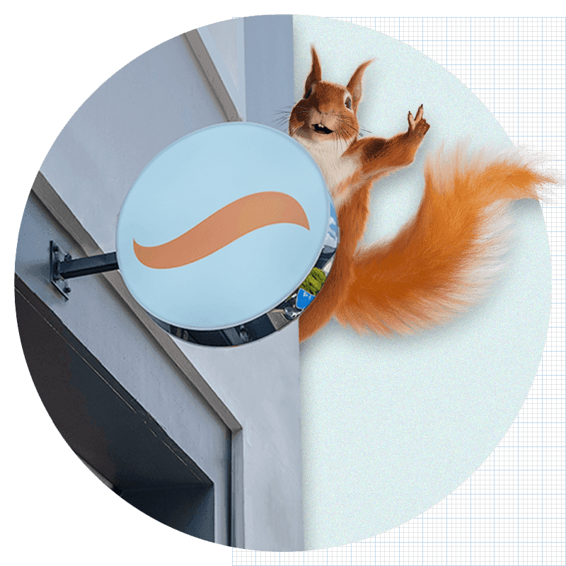 Meet the team – Squirrel